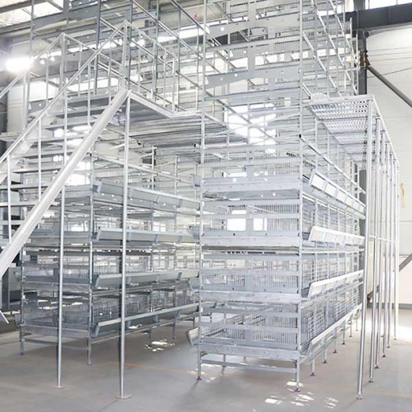 Quality 0 - 20kw Layer Chicken Cage 380V Voltage With Temperature Control System for sale