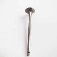 Quality Customized Sinotruk HOWO Spare Parts Wd615 Engine Air Exhaust Intake Valve for sale
