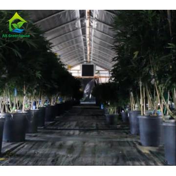 Commercial Backyard Light Dep Greenhouse Plastic Film Hot Galvanized Steel