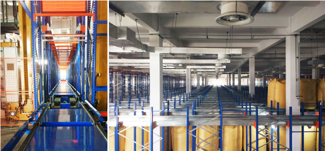 Two Way Radio Shuttle Racking and Stacker Crane Floor Supported SRM Storage And Retrieval Machine ASRS Automatic Storage And Retrieval System
