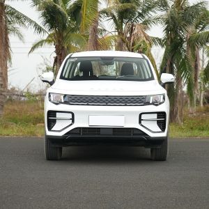 Quality For for King Kong RD5 2025 Rear-Wheel Drive 401-500km 250-300kW 70-90kWh Pure for sale