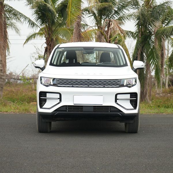 Quality For for King Kong RD5 2025 Rear-Wheel Drive 401-500km 250-300kW 70-90kWh Pure Electric Pickup Truck for sale