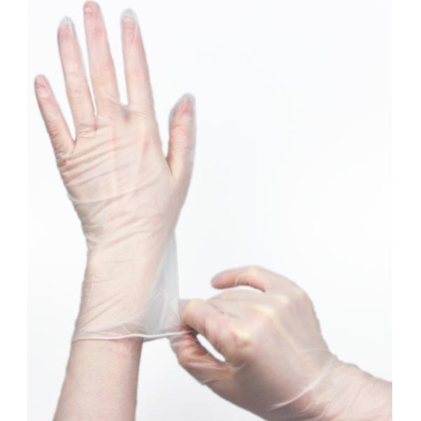 Quality 9 Inch Powder Free Disposable Vinyl Gloves For Foodservice for sale