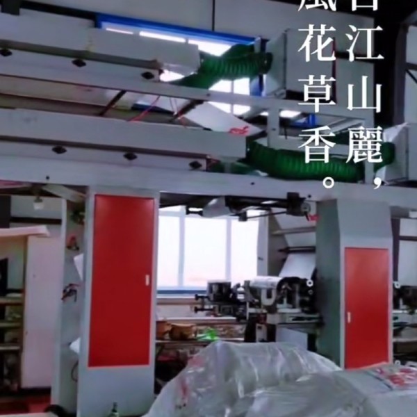 Quality 95% New Continuous 8 Color Flexo Printing Machine For Woven Bag for sale