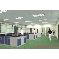 Quality Rectangular School Science Laboratory Furniture Flexible Steel And Wood for sale