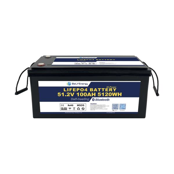 Quality 48V LiFePO4 Battery Pack - 5120Wh, 100A Discharge, IP65 Enclosure for sale