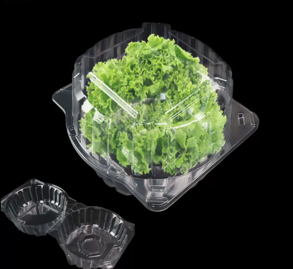 Quality Customized Design Recyclable PET Blister Packaging with Heat Sealing for for sale