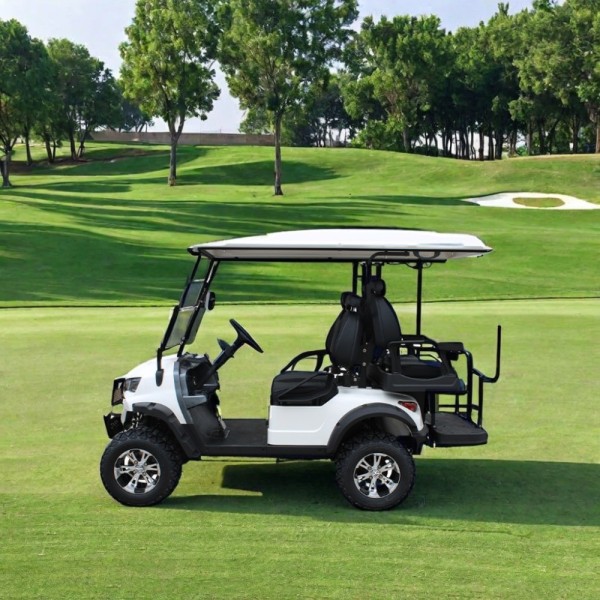Quality 2024 HM Mini Electric Golf Carts Hunting Off Road Cart 4 Seater for Hunting Golf for sale