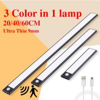 Quality 3 Colors Wardrobe Induction Night Light 6000K CE Under Cabinet Lighting for sale