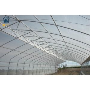 Quality Customizable Tunnel Multi Span Greenhouse 5m - 12m Width With Drip Irrigation for sale
