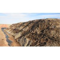 Quality Gold Cyanide Flotation Plant Ore Dressing Equipment for sale