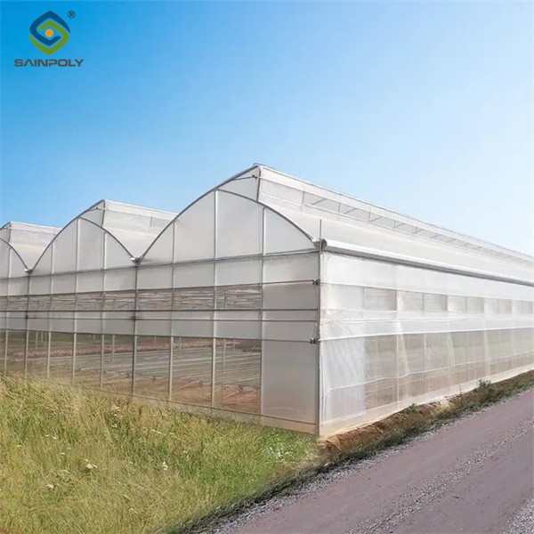 Quality Simple Multi Span Commercial Gothic Type Greenhouse Wind Resistance for sale
