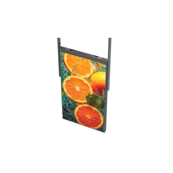 Quality 43inch Customizable Digital window display for customer requirements for sale
