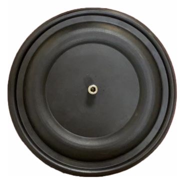 Quality Dosing Reagent Feed Metering Pump Fit Diaphragm EPDM PTFE Metering Pump for sale