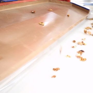 Quality 2 Tons Automatic Feeding Walnut Shelling Machine Featured Kernel Shell for sale