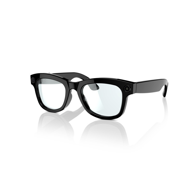 Portable Intelligent Visual & Voice Assistant