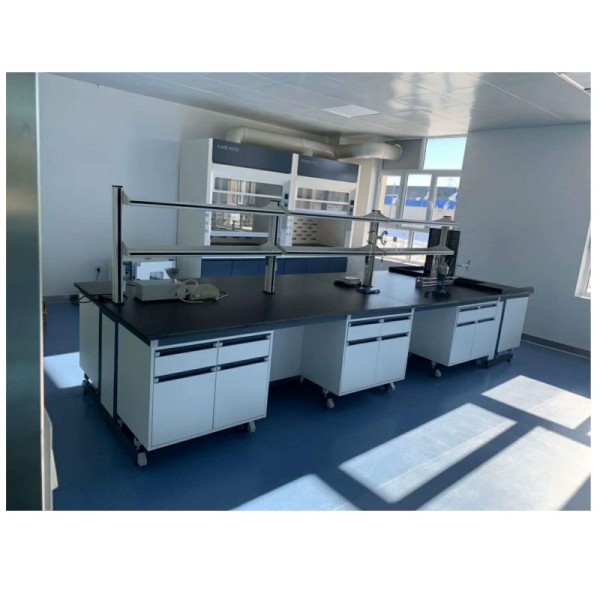 Quality Organized Workspace Laboratory Table Workbench for Chemical Reagent Storage for sale