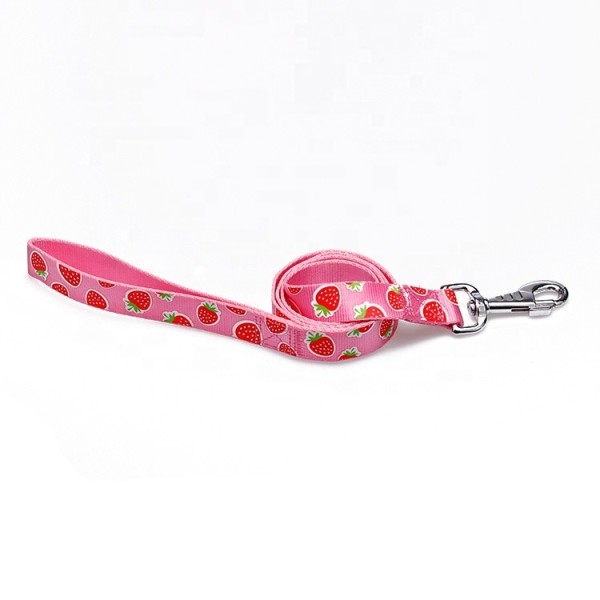 Quality OEM training dog leash Silk Screen Pattern dog training lead for sale