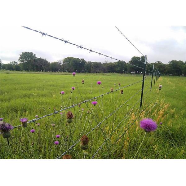 Quality Agriculture 2.5mm Galvanized Barbed Wire for sale