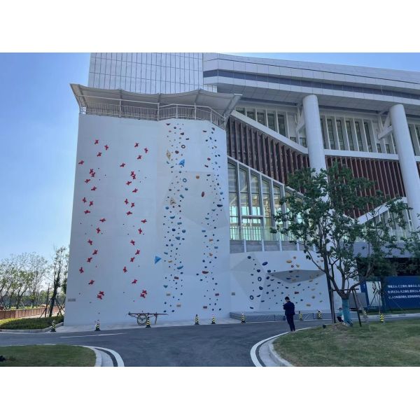 Quality Theme Park Speed Climbing Wall Outdoor Customized Wall Climbing For Adults for sale
