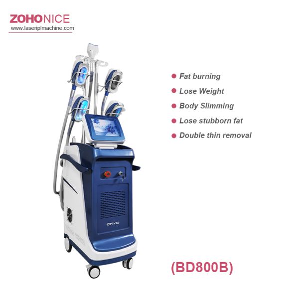 Quality 360 Angle Vertical Double Chin Cryolipolysis Slimming Machine for sale