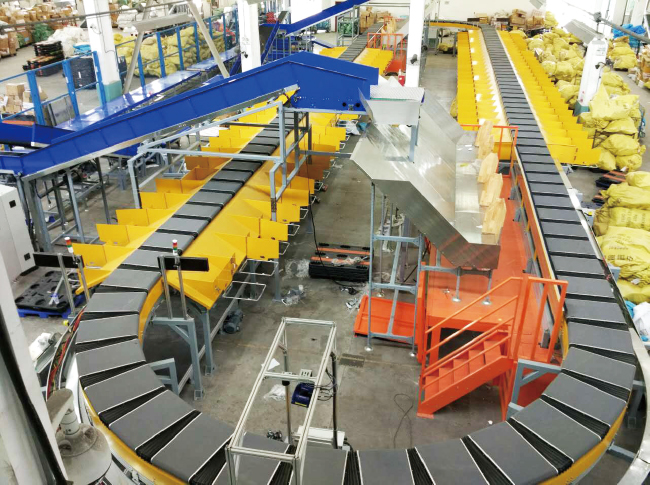 Box Conveyor & Sorting System