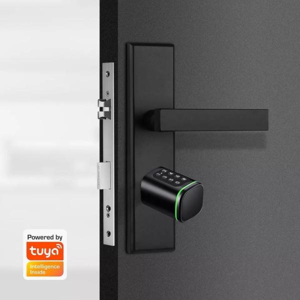 Quality 35-45mm Door Thickness Tuya App Unlock Smart Digital Electronic Cylindrical Door for sale