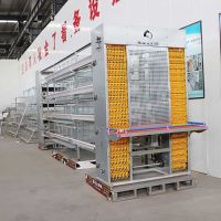 Quality Battery Coop Rearing Poultry Chicken Cage Large Capacity For Hen Raising for sale