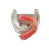 Quality Denture Dental Lab for sale