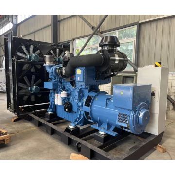 Quality 50hz 60hz Soundproof Container Open Type Continuous 200KW 250KVA LPG Powered for sale