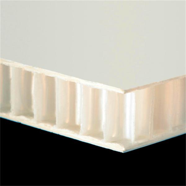 Quality Length 2440mm FRP Honeycomb Panel Polypropylene Core waterproof for sale