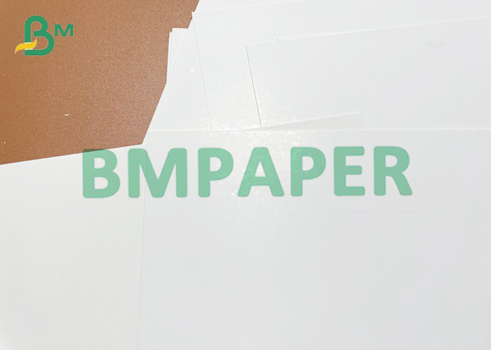 110lb 23x36" 25x37" C1S Index Cover Ivory Boared For Brochures