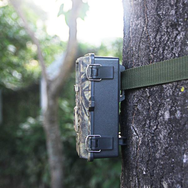 Quality Batteries Operated Digital Wildlife Camera Infrared Animal Trail Video for sale