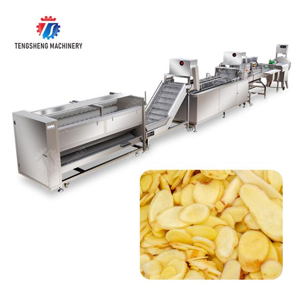 Quality Brush bubble cleaning, drying, selection and cutting production line Revolutioni for sale