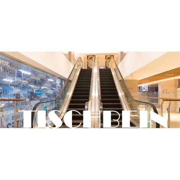 Quality Stainless Steel Commercial Escalator for sale
