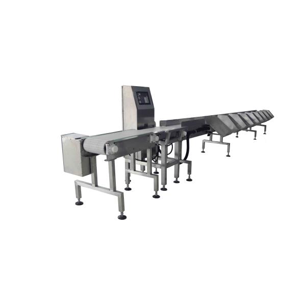Quality Bucket System SUS304 Weight Grader Machine 3000g Fish Grader machine for sale
