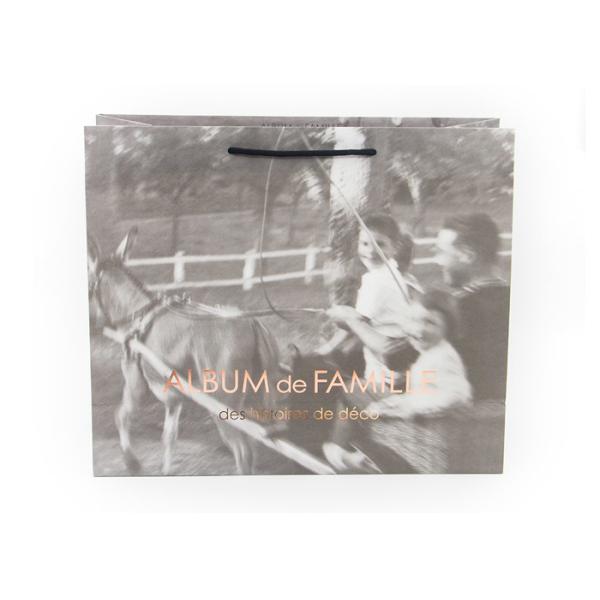 Quality Fancy Personalised Paper Bags / Printed Paper Carrier Bags Offset Printing for sale