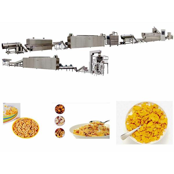 Quality 150kg/H Corn Flakes Making Machine With Alloy Screw for sale
