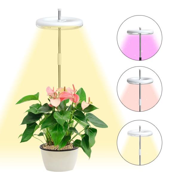Quality 9W Height Adjustable LED Growth Lamp 4000k For Indoor Desk plant for sale