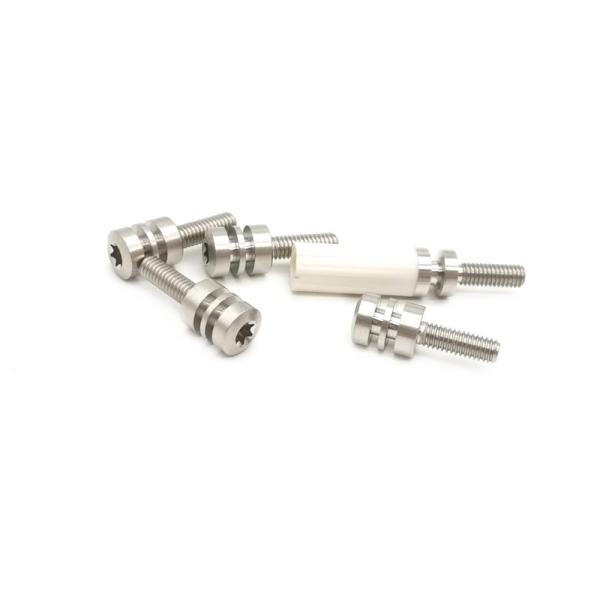 Quality Processing Customized Hand Screwed Glue Coated Screws Non Standard Anti Theft Bolts for sale