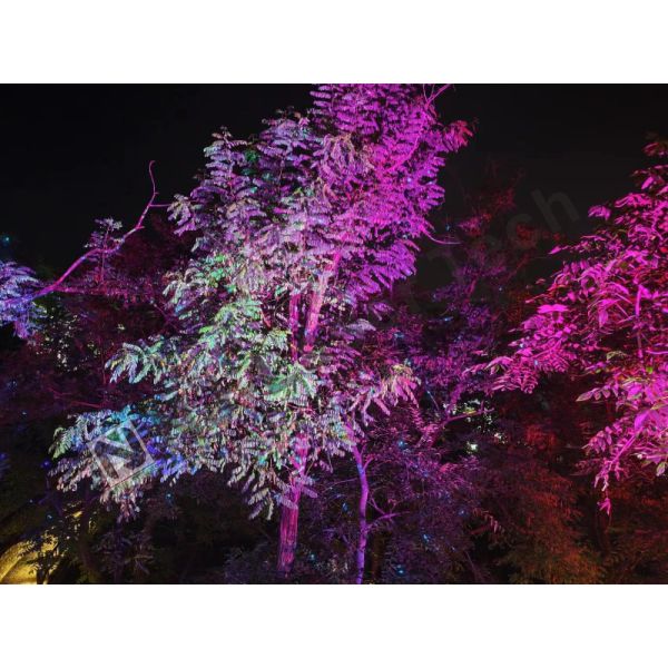 Quality Industrial-Grade Laser Engineering Lighting with IP65 Rating 50 Years Lifespan and 0-100% Dimming for sale