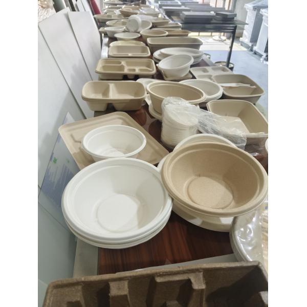 Quality Versatile Spin Coater Pulp Molding For Food Packaging Oil And Leakage Proof UV for sale