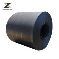 Quality Hot/Cold Rolled/Stainless/PPGI PPGL Gi/Color Coated/Tinplate/Galvanized/Carbon for sale
