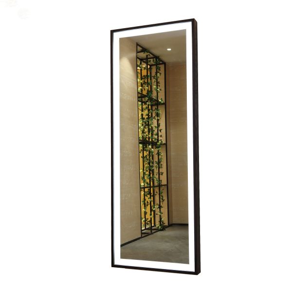 Quality Decoration Illuminated Dressing Room Mirrors Wall Mounted Customized for sale