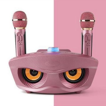 Quality 30W Family Karaoke Multifunctional Wireless Speak With Mic Recorder for sale