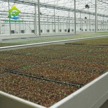 Quality Vertical Farming Clear Polycarbonate Greenhouse 3m To 7m Height for sale