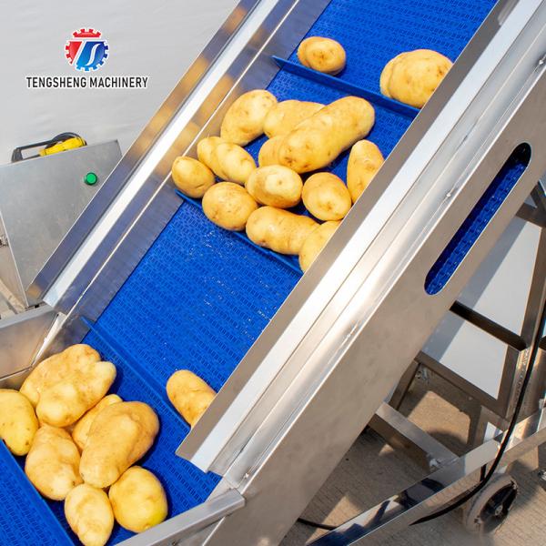 Quality 1000kg/H Pineapple Cutting Machine Fruit Vegetable Production Line for sale