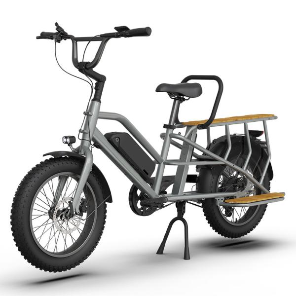 Quality 7 Speed Aluminum Alloy Frame Electric Delivery Bike for Family Dual Battery Fat Tire for sale