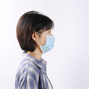 Quality Type II Cleanroom Disposable Earloop Face Mask for sale