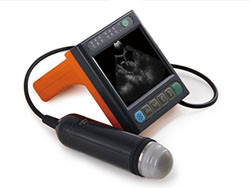 Quality Digital Medical Veterinary Ultrasound Scanner for sale